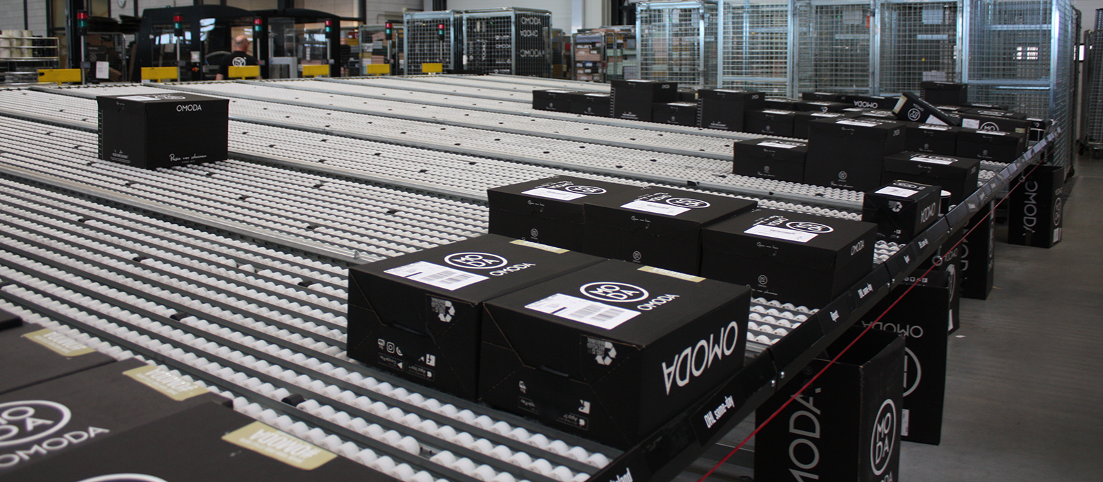 Verhoog uw productiviteit met een sorter - Vanas Engineering